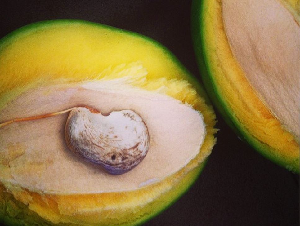 ️ ¿Cómo germinar semillas de mango super rápido?